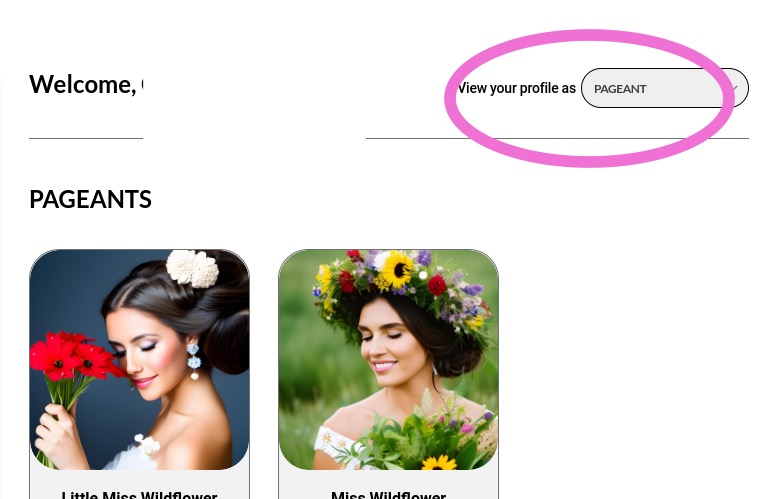 How To Add a Banner Image – Pageant Planet